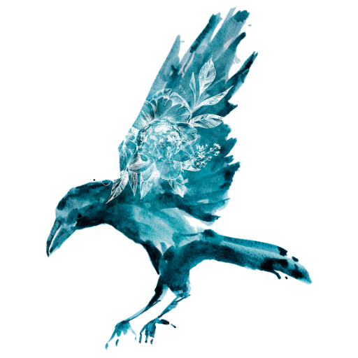 Kelly Westhoff, Writer | Based in Minneapolis, Minnesota